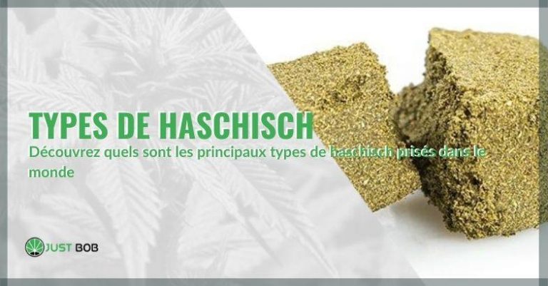 Quelle est la sorte de hash la plus répandue ? Tous les types