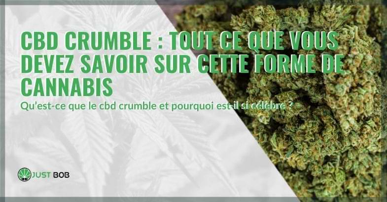Crumble CBD : que savoir sur cette forme de cannabis