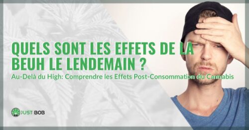 Quels sont les effets de la beuh le lendemain ? | Justbob