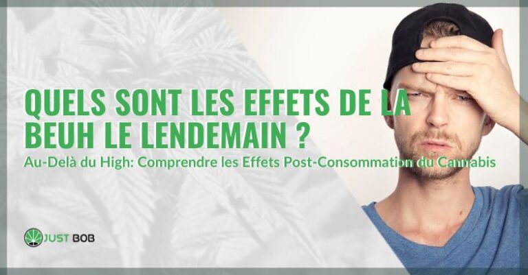 Quels sont les effets de la beuh le lendemain ? | Justbob